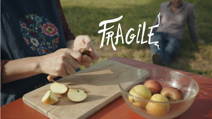 Fragile // concert en famille, à partir de 10 ans // Musée ...